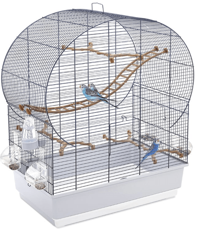 Andorra Blue Cage – Muscat Flora