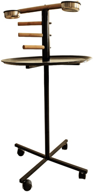 Parrot Stand – Muscat Flora